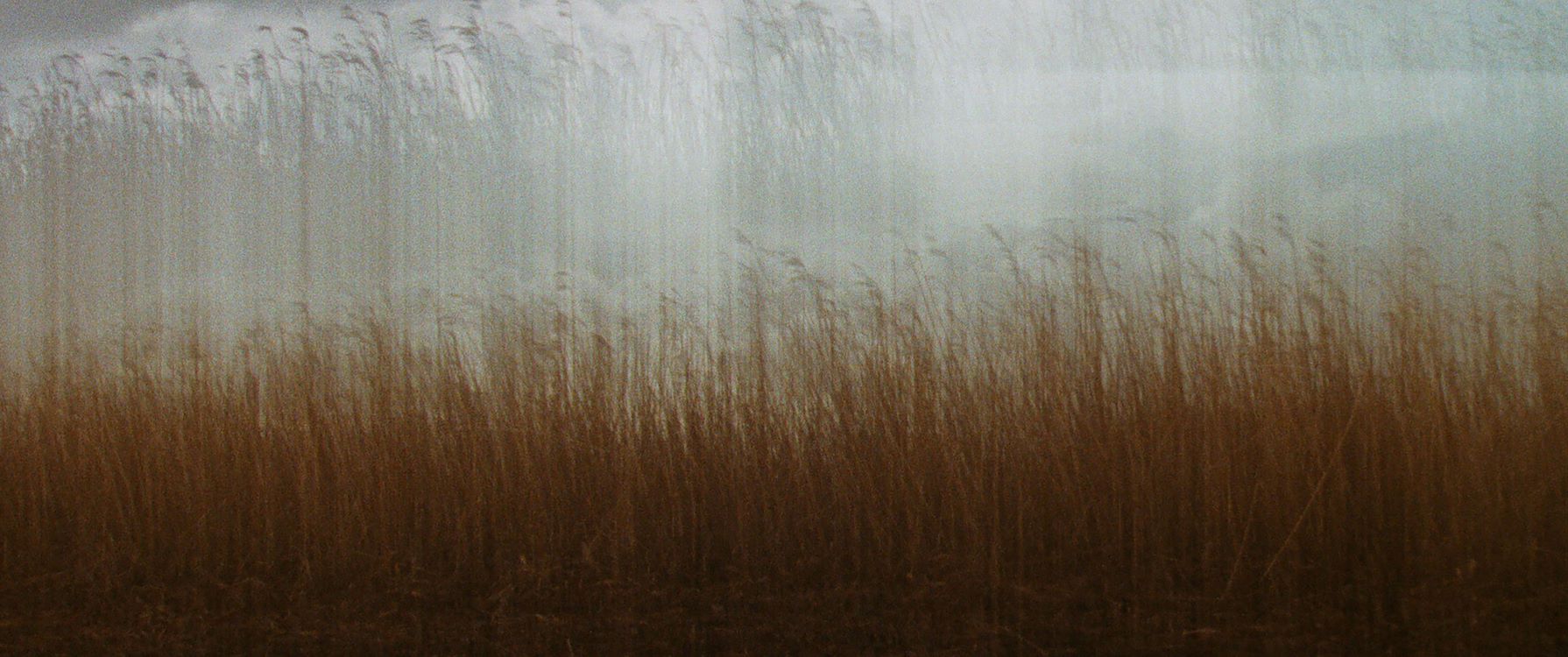 Rietland Voorpremière – Cinema Oostereiland